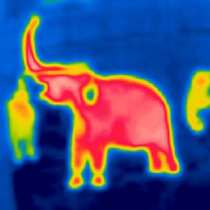 Services - Arribada | Open Source Technology for Wildlife, People & Planet